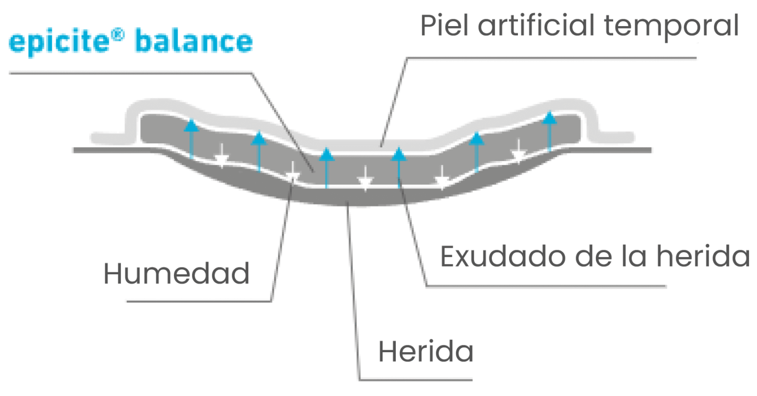 Cicatrización avanzada para heridas y quemaduras profundas